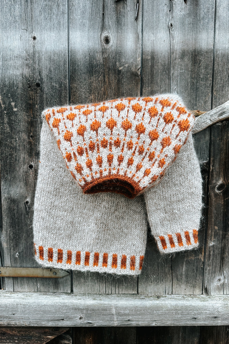 Knitting Pattern | Cloudberry Sweater | Léttlopi by Istex
