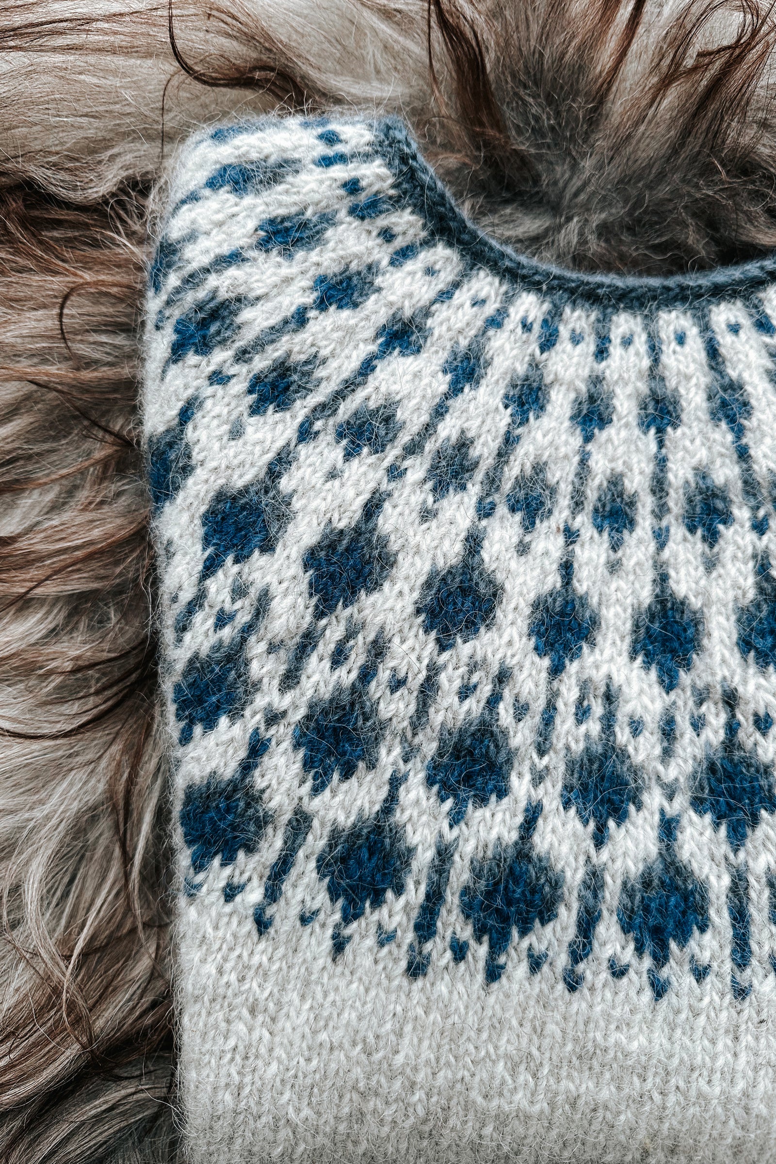 Knitting Pattern | Blueberry Sweater | Léttlopi by Istex